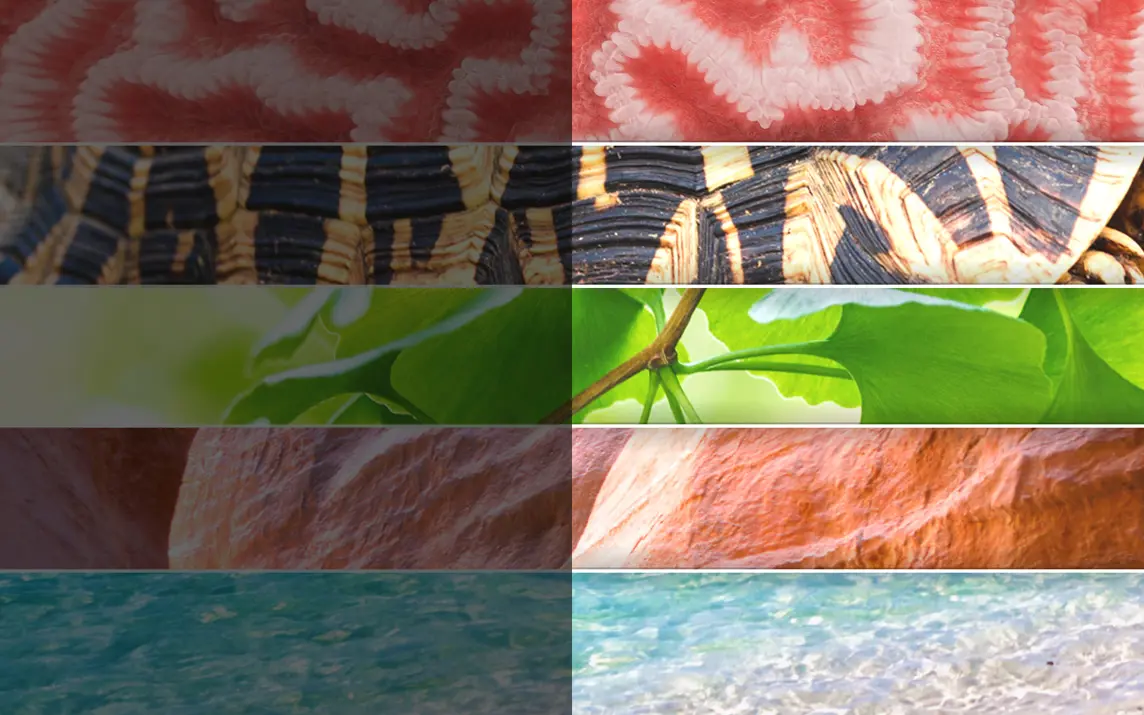 ML Engraving: the surface gurus